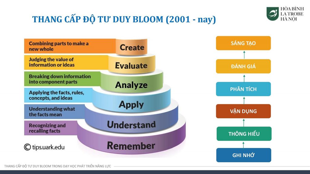 Ba hình thức sư phạm căn bản - EsKnowledge